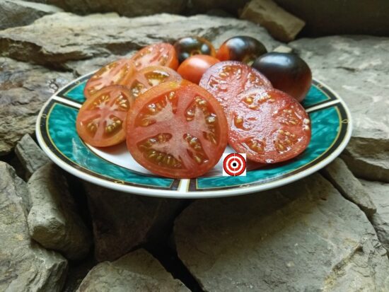 Indigo Apple Tomato-Bounty Hunter Seeds-Brad Gates Tomatoes