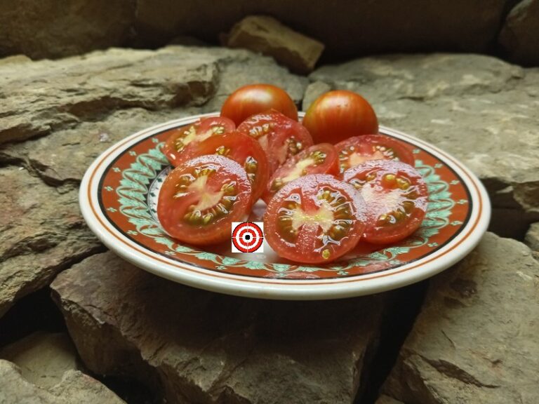 Kaleidoscope Jewel Tomato-Brad Gates-Bounty Hunter Seeds