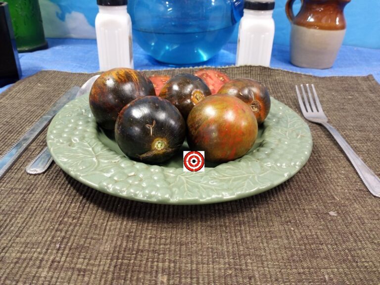 Cosmic Eclipse Tomato-Brad Gates Seeds-Bounty Hunter Seeds!
