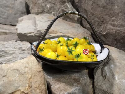 Yellow Stuffer Tomato-Bounty Hunter Seeds-Heirloom Tomatoes