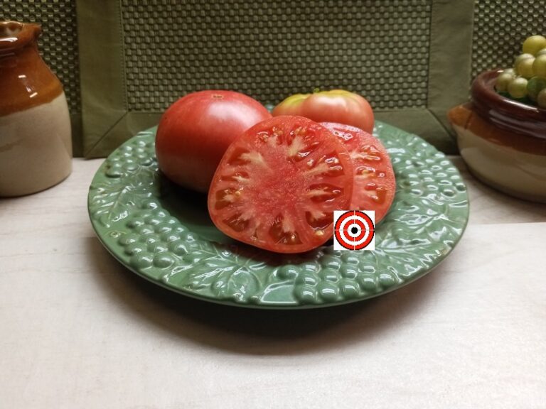 German Queen Tomato-Bounty Hunter Seeds-Heirloom Tomatoes