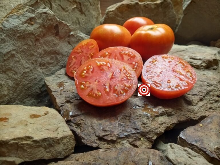 Legend Tomato-Bounty Hunter Seeds-Rare Heirloom Tomatoes