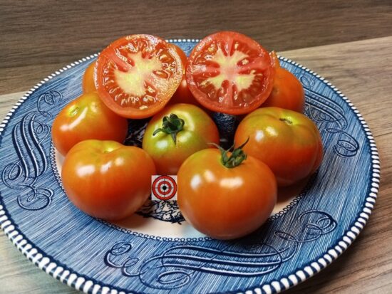 Husky Red Dwarf Tomato-Bounty Hunter Seeds-Heirloom Seeds