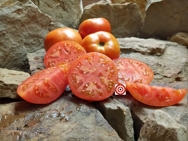 Legend Tomato-Bounty Hunter Seeds-Rare Heirloom Tomatoes