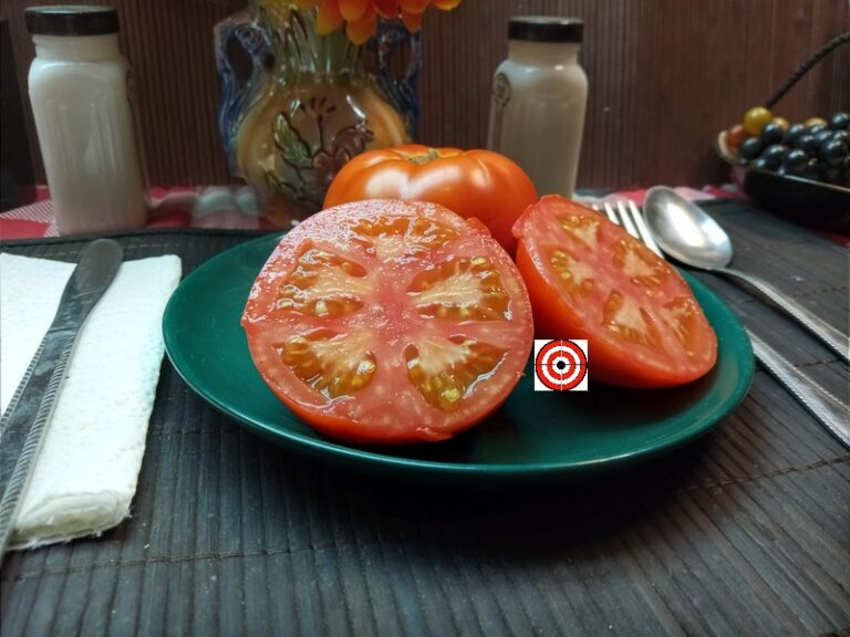 Marglobe Tomato-Bounty Hunter Seeds-Heirloom Tomato Seeds