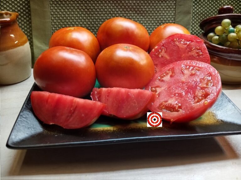 Marglobe Tomato-Bounty Hunter Seeds-Heirloom Tomato Seeds