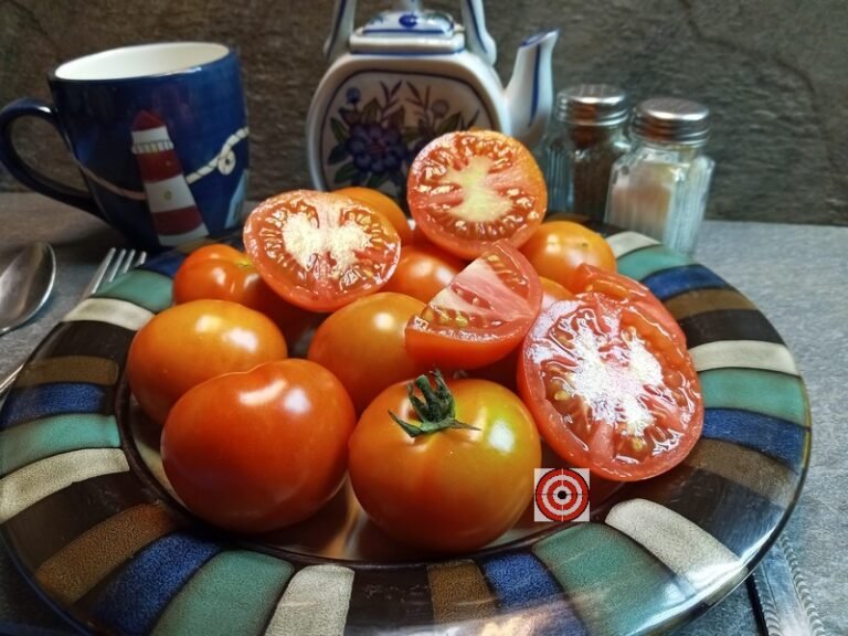 Husky Red Dwarf Tomato-Bounty Hunter Seeds-Heirloom Seeds