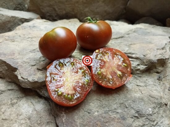Sleeping Lady Dwarf Tomato For Sale At Bounty Hunter Seeds