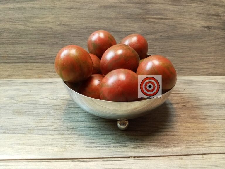 Violet Jasper Tomato Seeds For Sale At Bounty Hunter Seeds!