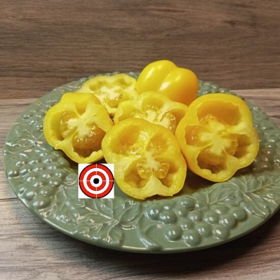 Pineapple Pig Tomato-Bounty Hunter Seeds-Heirloom Tomatoes