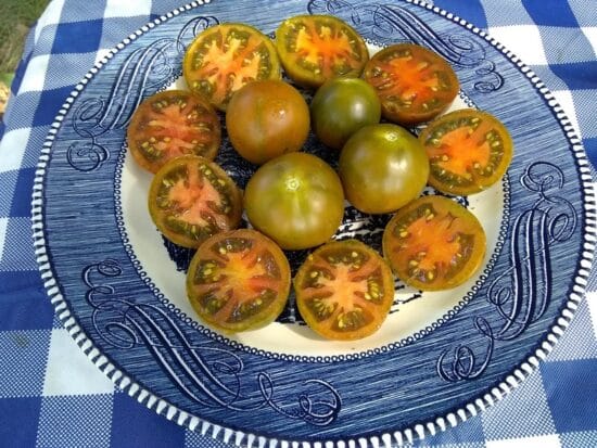 Evil Olive Tomato Seeds For Sale At Bounty Hunter Seeds!