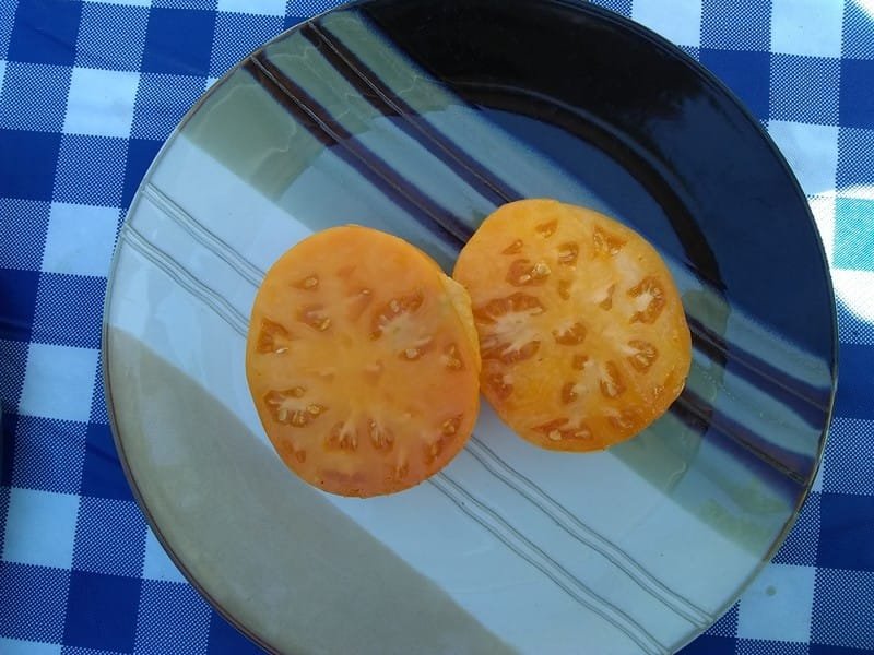 Orange Crush Tomato slicer - Bounty Hunter Seeds - Rare Heirloom Tomato ...