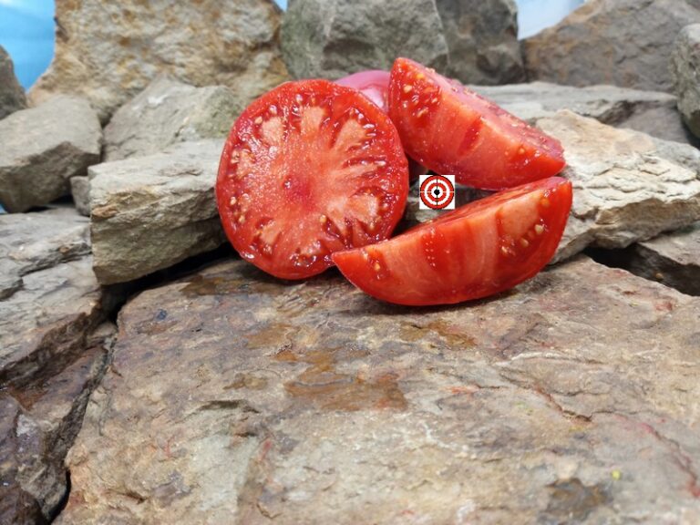 Sara Black aka Schwarze Sarah Tomato Bounty Hunter Seeds