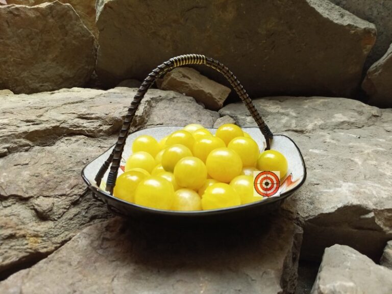 Snow White Cherry Tomato-Bounty Hunter Seeds-Rare Heirlooms