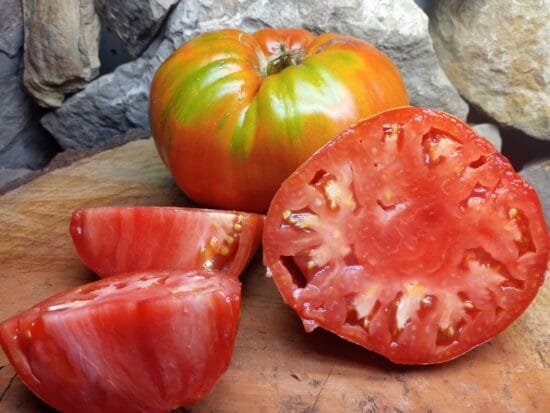 Australian Beauty Tomato Seeds For Sale At Bounty Hunter Seeds!