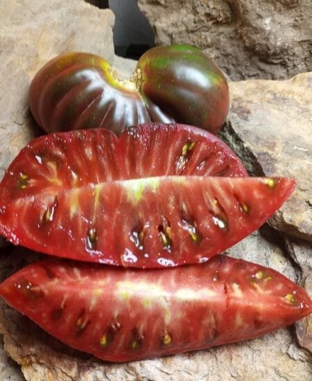 Indigo Rose Tomato-Bounty Hunter Seeds-Heirloom Tomato Seeds