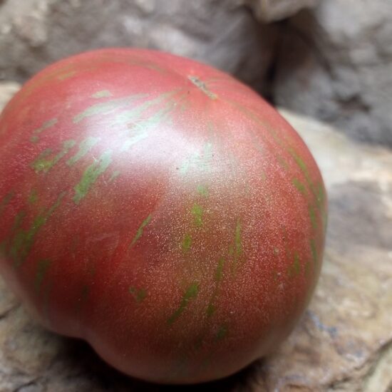 Dwarf Tomatoes-Bounty Hunter Seeds-Rare Heirloom Seeds