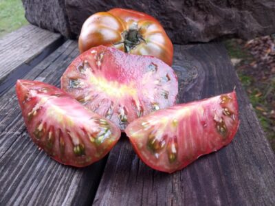 King Aramis Dwarf Tomato-Bounty Hunter Seeds-Blane Horton