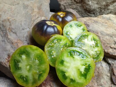 Wagner Blue Green Tomato Bounty Hunter Seeds Tomato Seeds