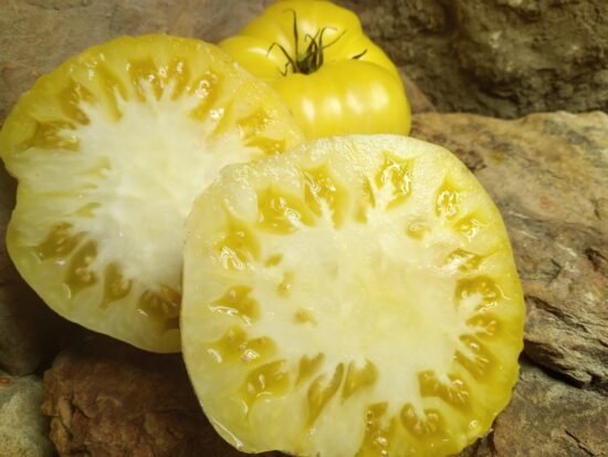 White Tomesol Tomato Bounty Hunter Seeds Heirloom Tomatoes