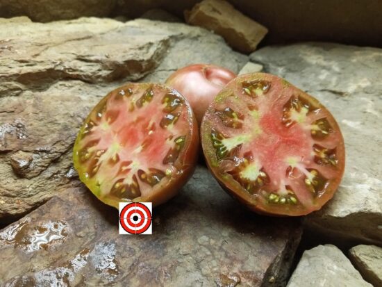 Blue Fruit Tomato-Bounty Hunter Seeds-Heirloom Tomato Seeds