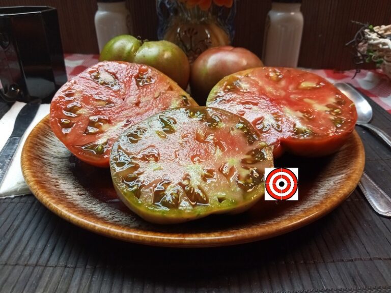 Blue Fruit Tomato-Bounty Hunter Seeds-Heirloom Tomato Seeds