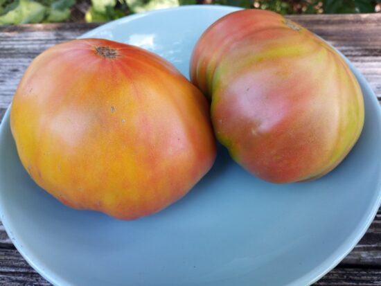 Heirloom Tomato Picture Gallery-Bounty Hunter Seeds-Rare Seeds