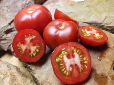 Heirloom Tomato Picture Gallery-Bounty Hunter Seeds-Rare Seeds