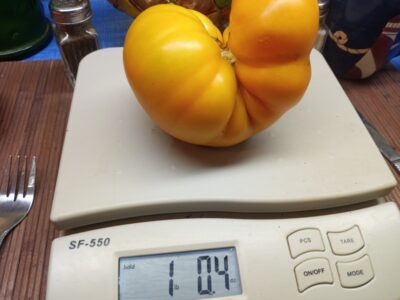 Heirloom Tomato Picture Gallery-Bounty Hunter Seeds-Rare Seeds