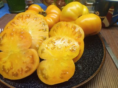 Heirloom Tomato Picture Gallery-Bounty Hunter Seeds-Rare Seeds