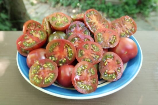 Karma Purple Multiflora Tomato-Bounty Hunter Seeds-Heirlooms