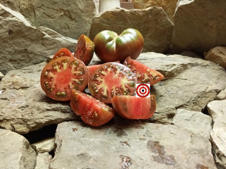 Elbonian Mudball Tomato-Bounty Hunter Seeds-Rare Heirlooms