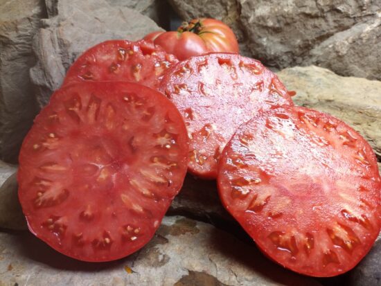 Top 10 One Pound Plus Tomatoes To Grow Part 2 by Bounty Hunter Seeds