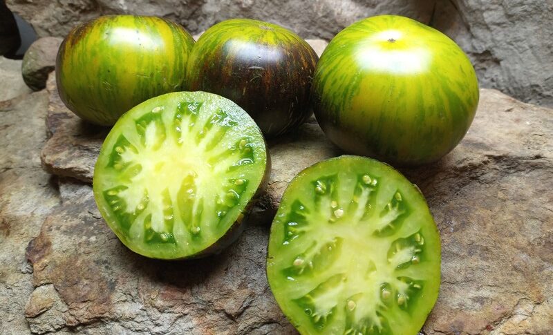 5 Great Low Acidic Tomatoes From 2021 By Bounty Hunter Seeds!