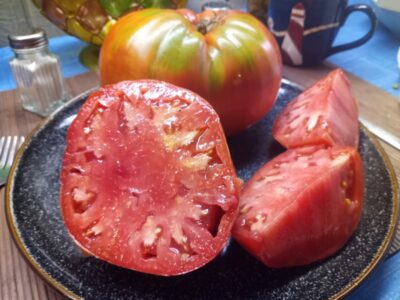 5 Best Rare Heirloom Tomatoes From 2021 By Bounty Hunter Seeds!