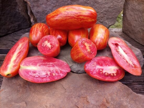5 Best Tomatoes For Canning 2021 Season