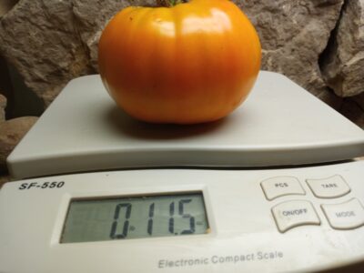 5 Great Low Acidic Tomatoes From 2021 By Bounty Hunter Seeds!