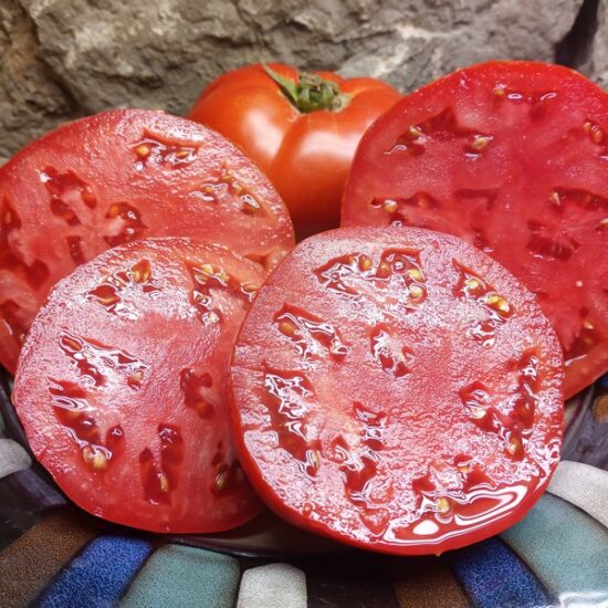 3 Different Tomato Leaf Types Potato, Regular, And Rugose by Bounty ...