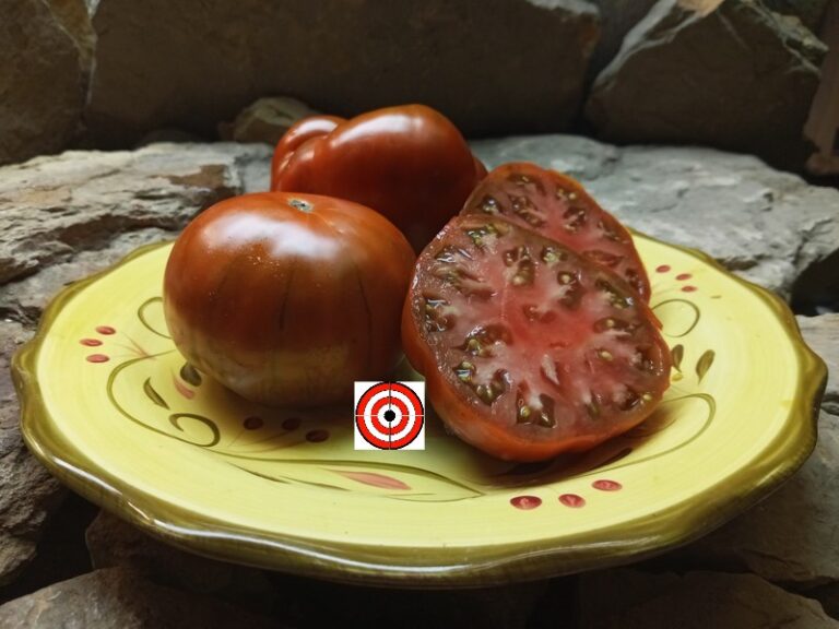 Abraham Brown Tomato-Bounty Hunter Seeds-Rare Heirlooms