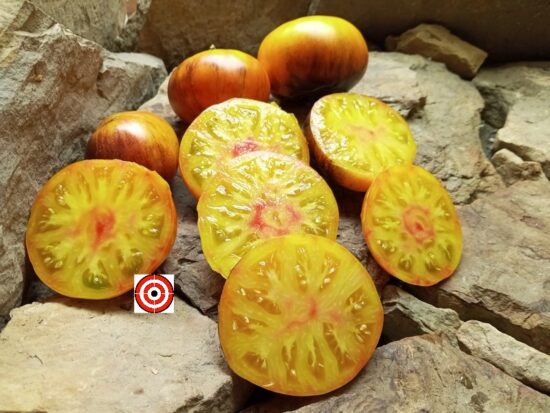 Alice's Dream Tomato-Bounty Hunter Seeds-Rare Heirloom Seeds