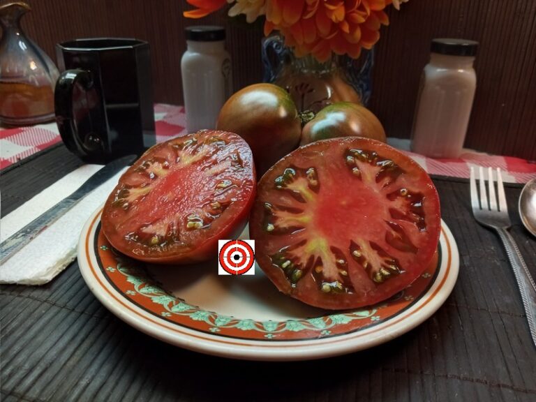 Black Sea Man Tomato-Heirloom Tomatoes-Bounty Hunter Seeds