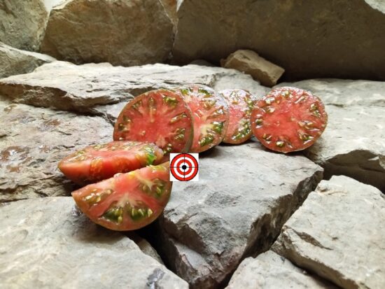 Blood Moon Tomato-Brad Gates Tomatoes-Bounty Hunter Seeds