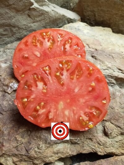 Brandywine OTV Tomato-Bounty Hunter Seeds-Heirloom Tomatoes