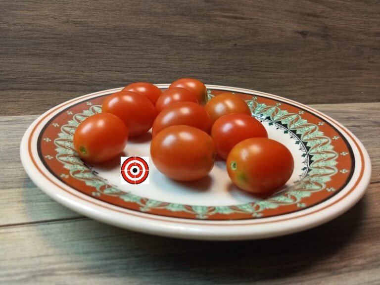 Australian Plum Tomato-Bounty Hunter Seeds-Rare Tomato Seeds
