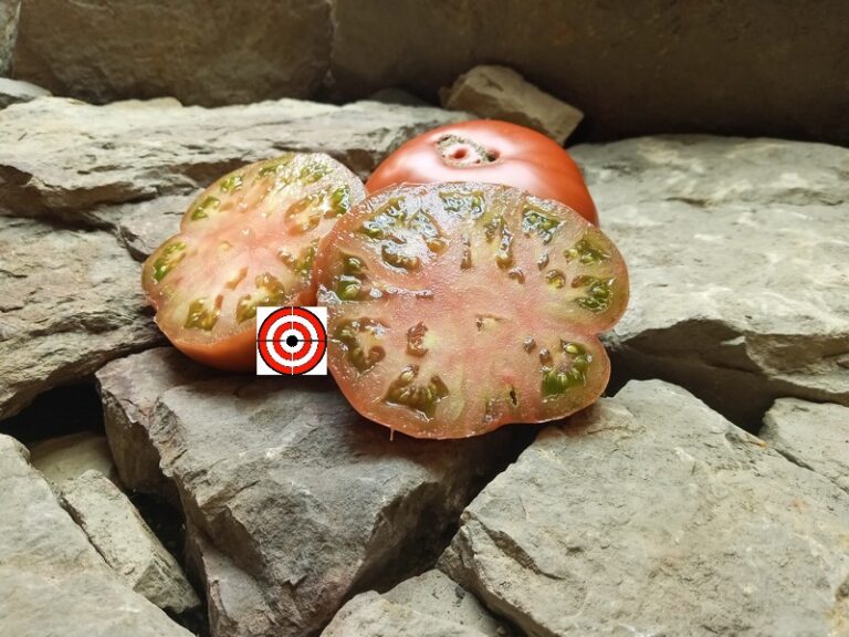 Abraham Brown Tomato-Bounty Hunter Seeds-Rare Heirlooms