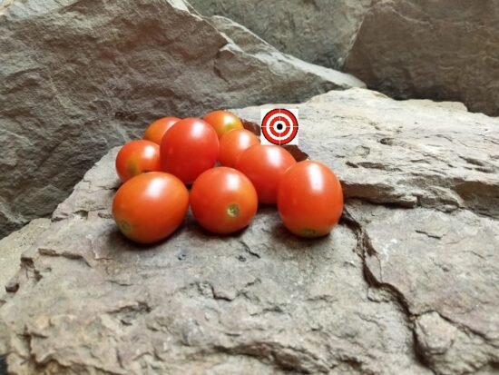 Australian Plum Tomato-Bounty Hunter Seeds-Rare Tomato Seeds