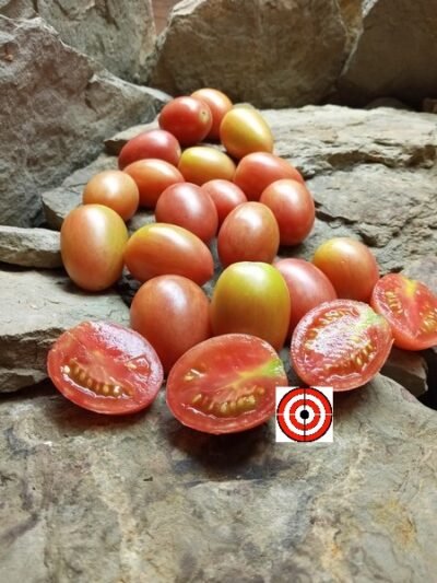 Candy Sweet Icicle Tomato-Brad Gates Seed-Bounty Hunter Seeds