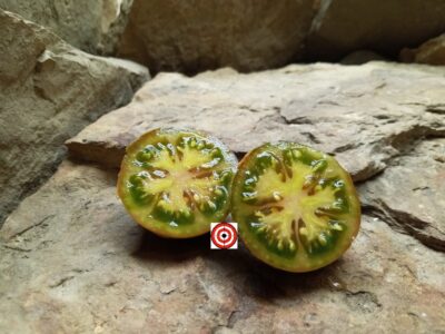 Copperhead Dwarf Tomato-Heirlooms- Bounty Hunter Seeds