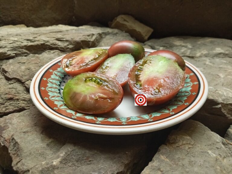 Darth Mater Tomato-Bounty Hunter Seeds-Dean Slater Seeds