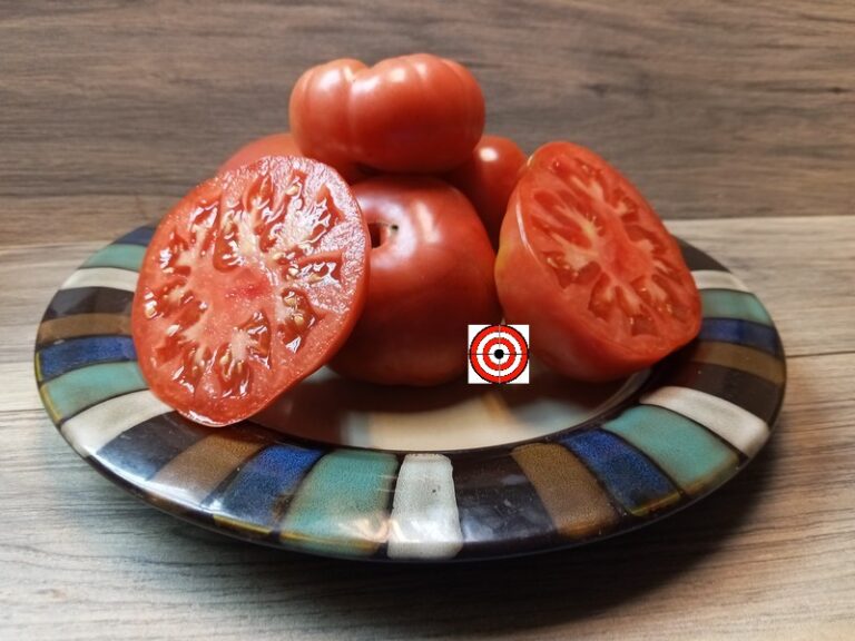 Dwarf Arctic Rose Tomato-Bounty Hunter Seeds-Rare Heirlooms